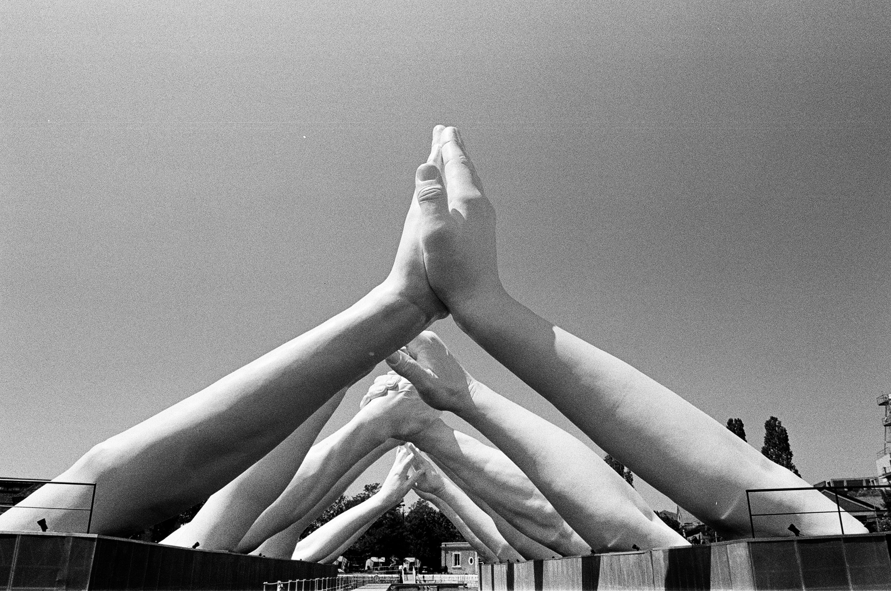 ARMS Spotlight: Fulbright Research Chair Series - Dr. Ann Garland ...